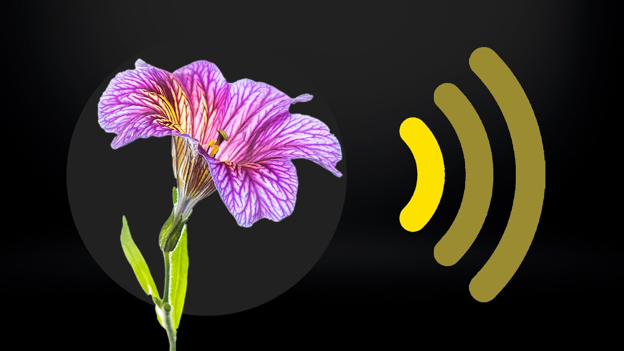 How Pollution and Climate Change Are Altering the Way the World Smells