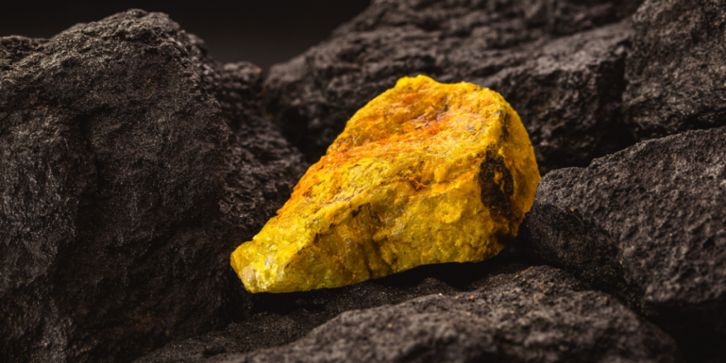 France Sends Uranium to Russia Despite War in Ukraine, Greenpeace Says