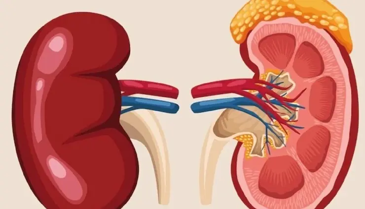 10 Major Side Effects of Diet Soda Addiction