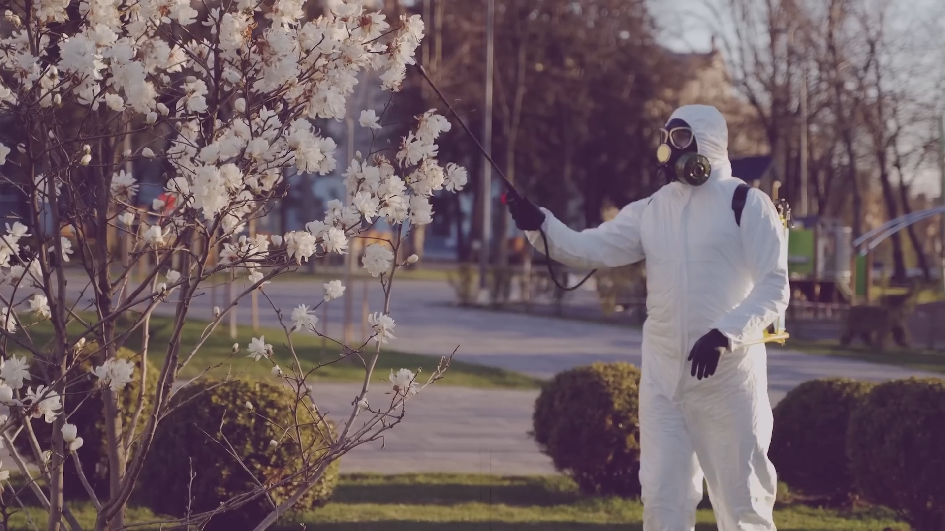 The Strangest Uses of Genetic Engineering