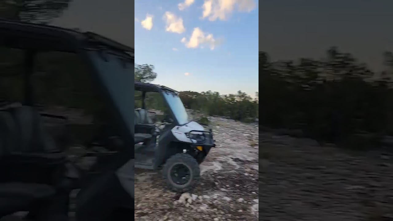 Weird animals out there