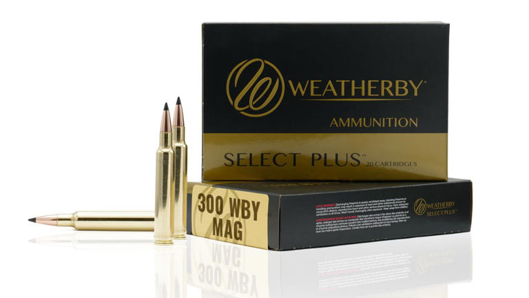 Calibers that promise energy but deliver recoil
