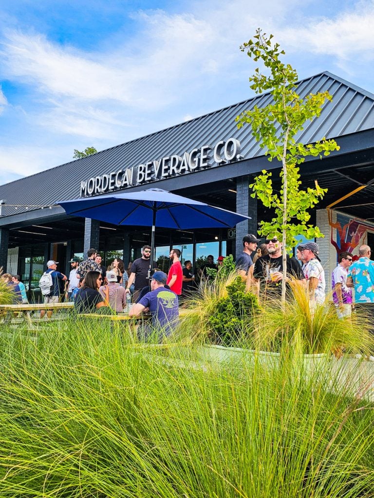 Best Things to Do in Raleigh this Weekend (Sept 1 – Sept 7, 2025)