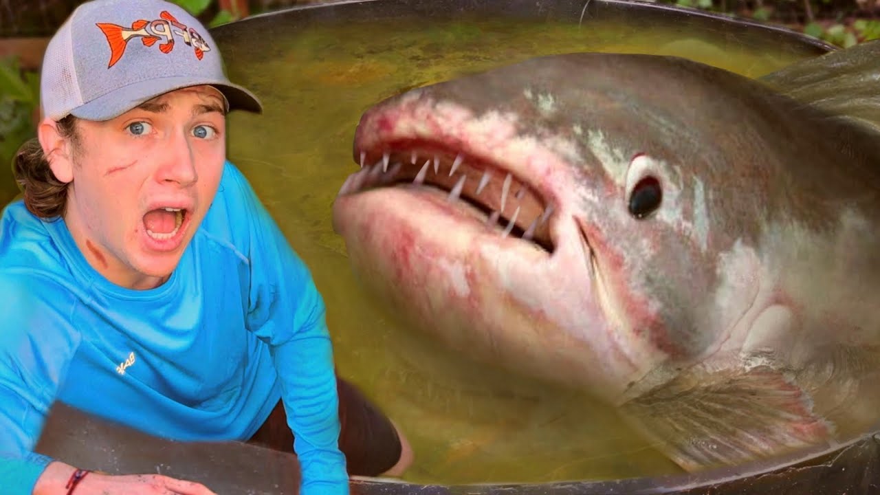 I Finally Caught The Monster Attacking My Fish Unbelievable Footage