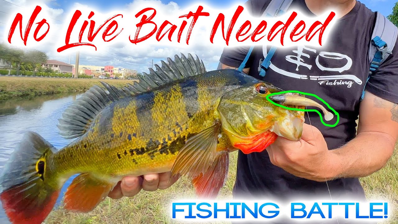 Lures Only, No Excuses; The Ultimate NLBN Fishing Challenge