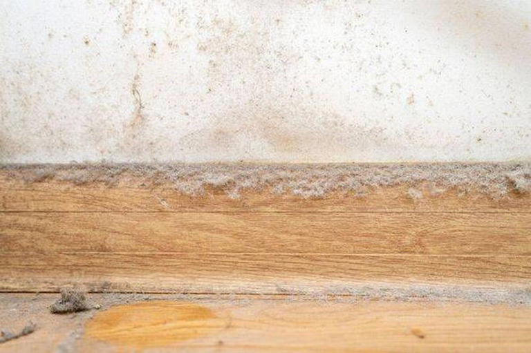 'Magic ingredient' will keep windowsills and baseboards dust-free for ...