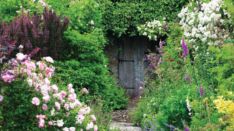 5 easy gardening jobs to get done before September arrives – don't ...