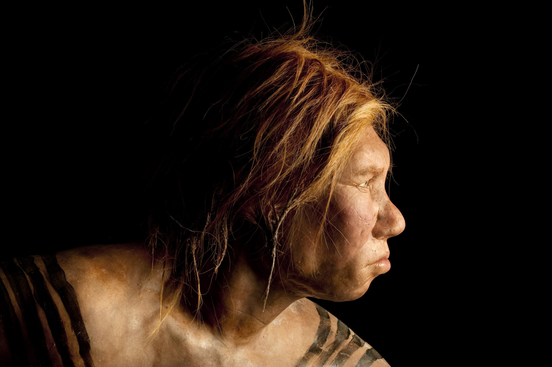 When did humans become human?
