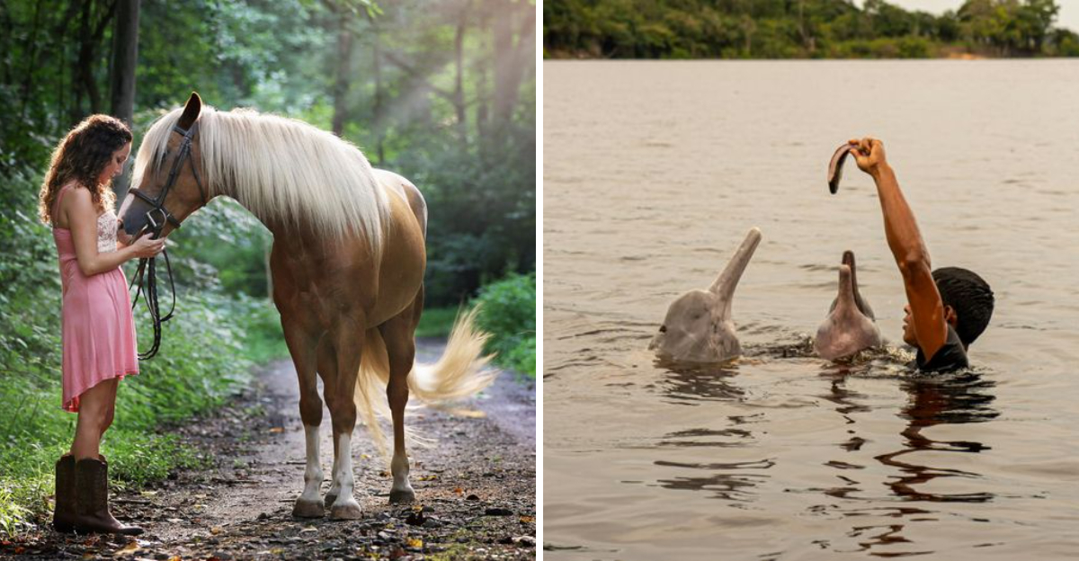7 Animals That Connect With Humans On The Deepest Levels