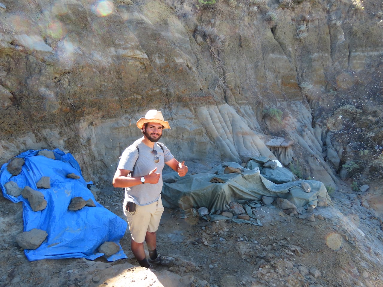 New species of dinosaur-era dragonfly discovered by a research student ...