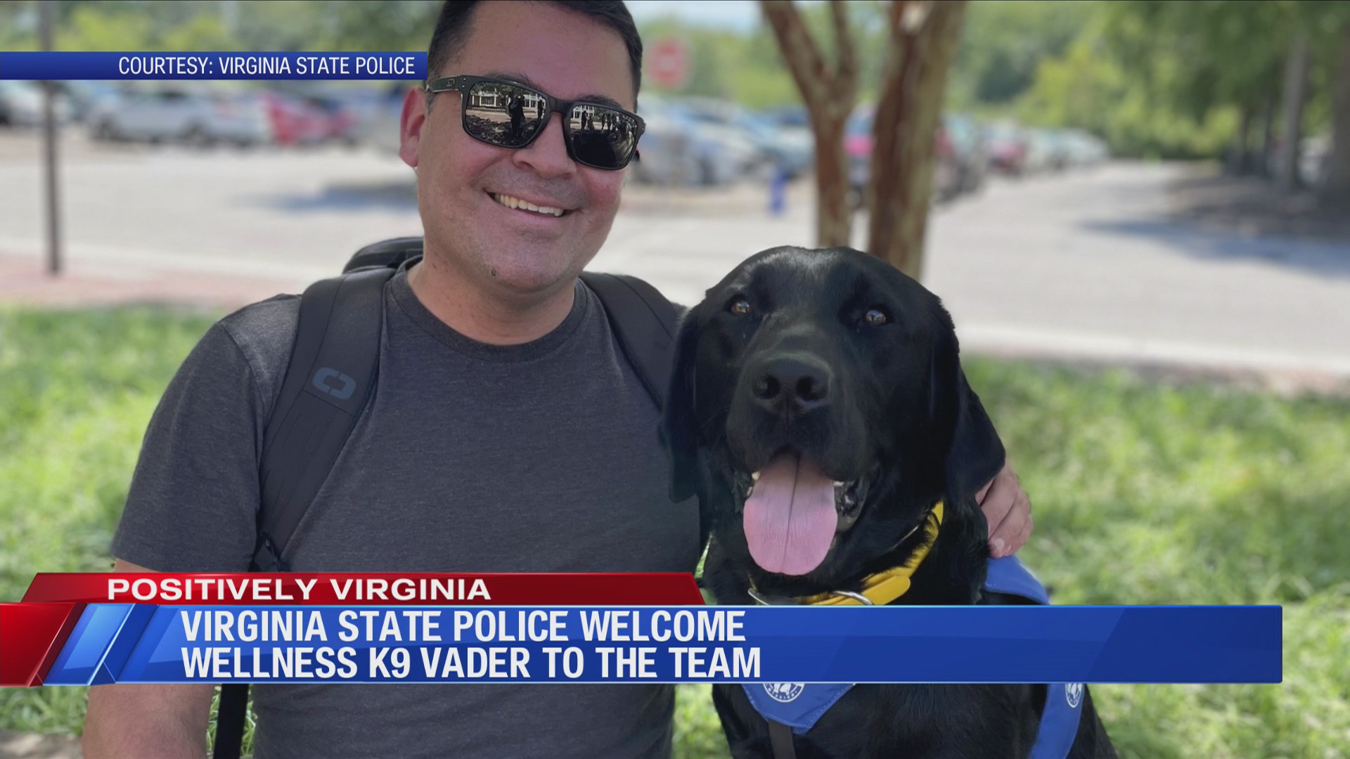 Mutts with a Mission donates Lab Retriever to VSP for wellness program