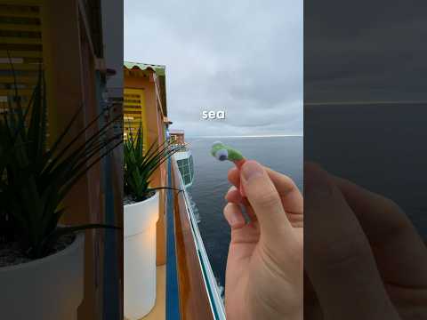 Taking my pet worm on a cruise