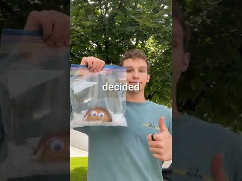 Celebrating The Last Choco Taco in the World