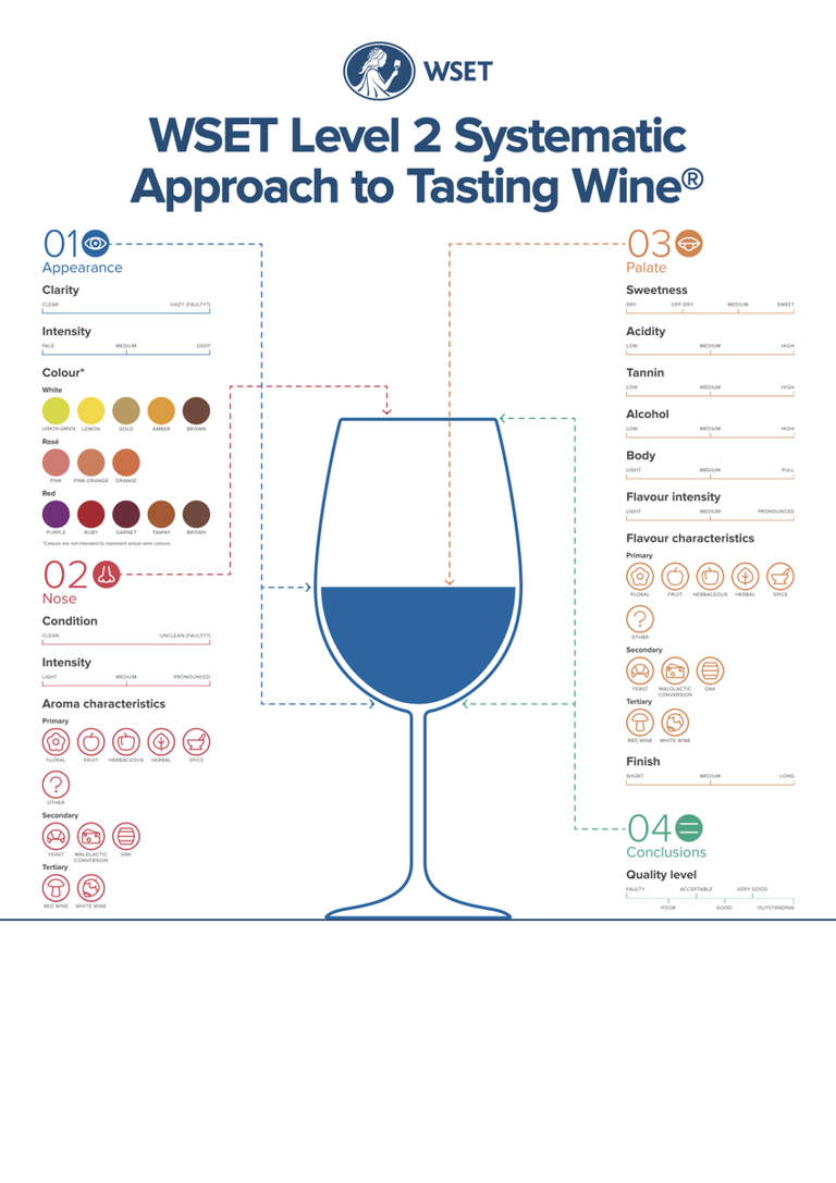 How to tell a good wine from a dodgy one, according to the Good ...