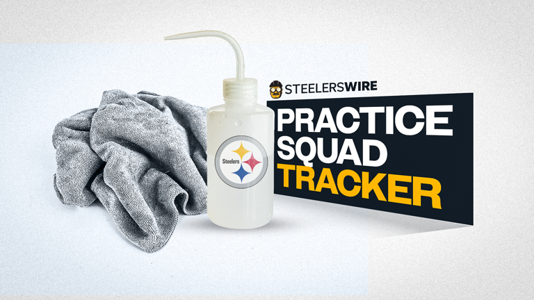 Pittsburgh Steelers practice squad tracker: Who's back and who isn't ...