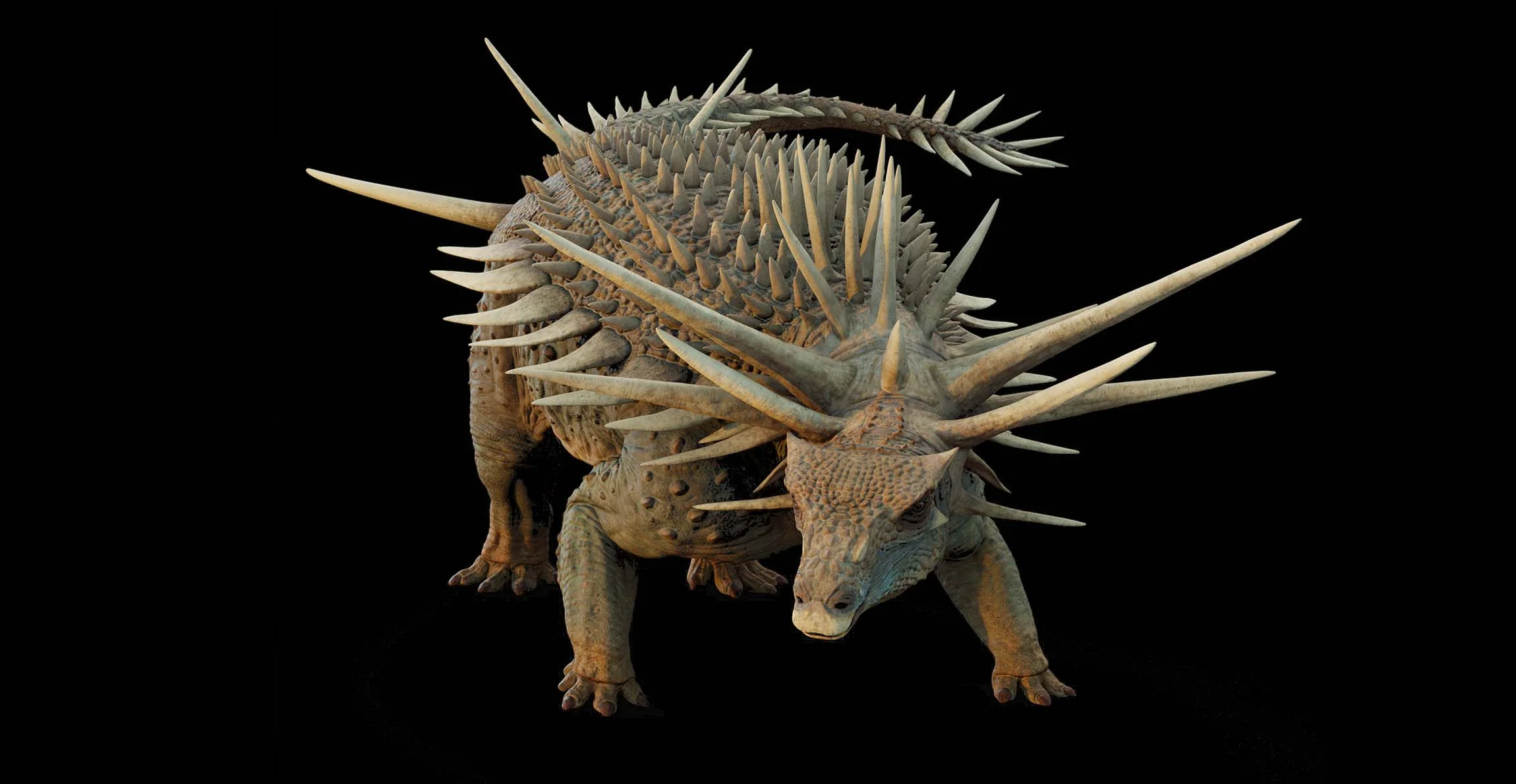Morocco unearths a dinosaur like no other, covered in spikes