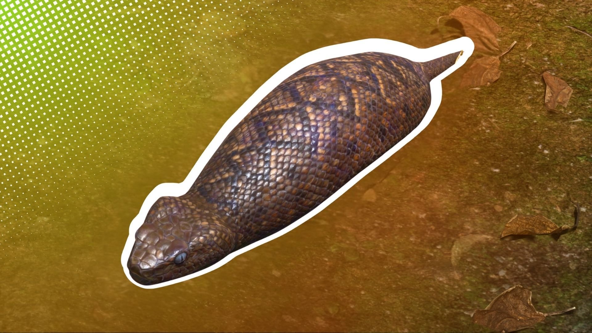 Metal Gear Solid Delta: Tsuchinoko fangen & Unendlich Munition freischalten
