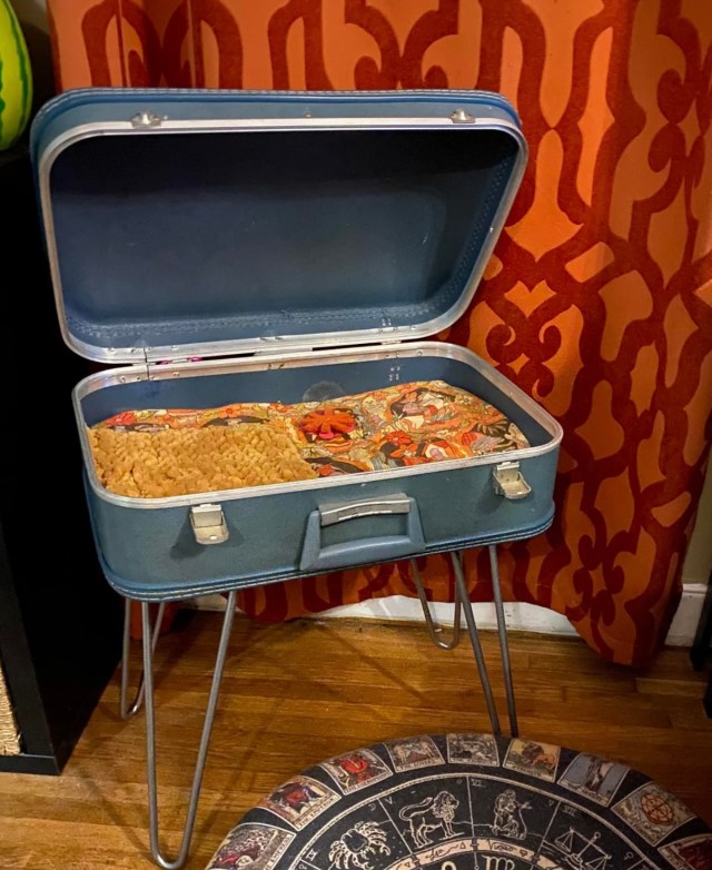 Cat owner shares genius hack using old suitcase: 'Very cool idea'