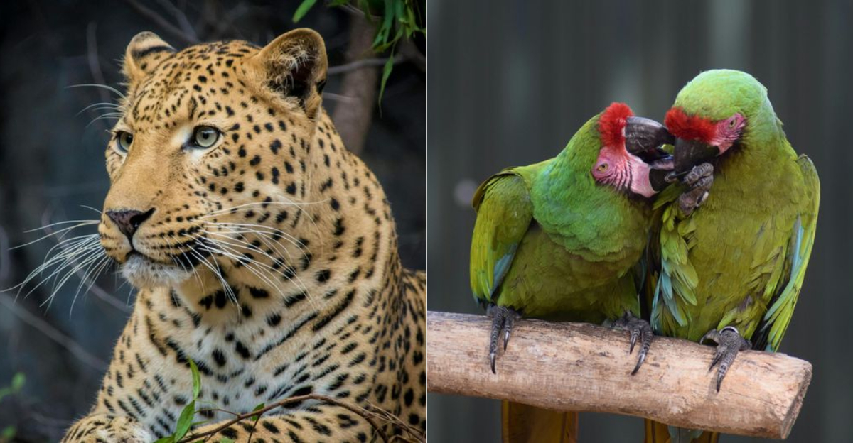 11 Pets That Are Difficult To Care For