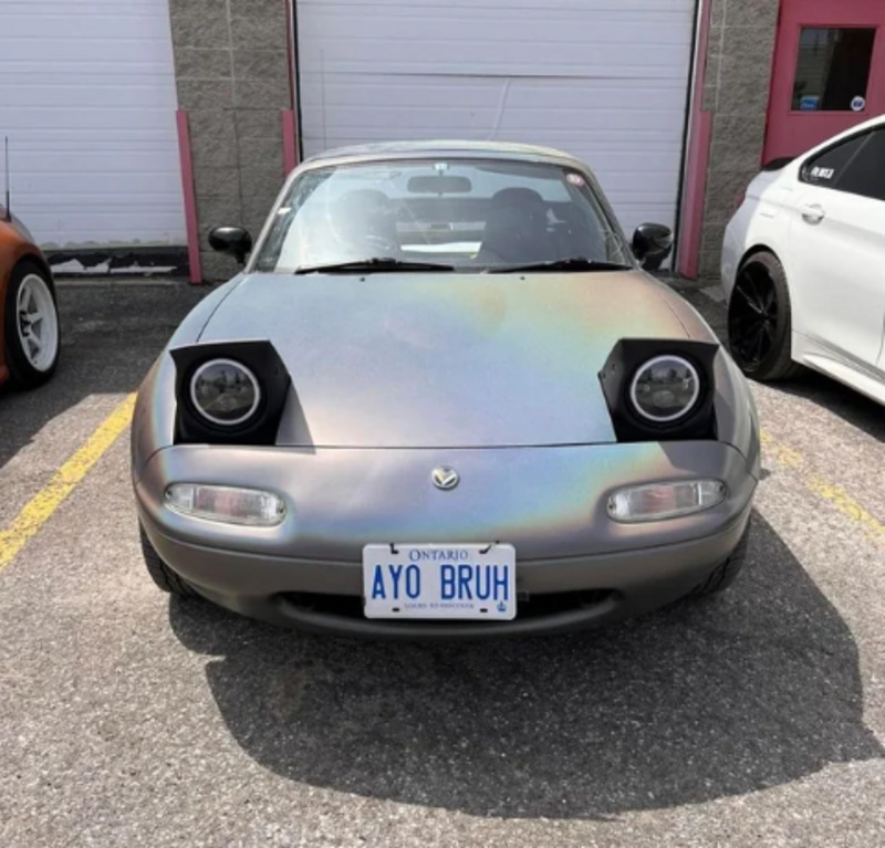 20 License Plates That Surpassed Expectations