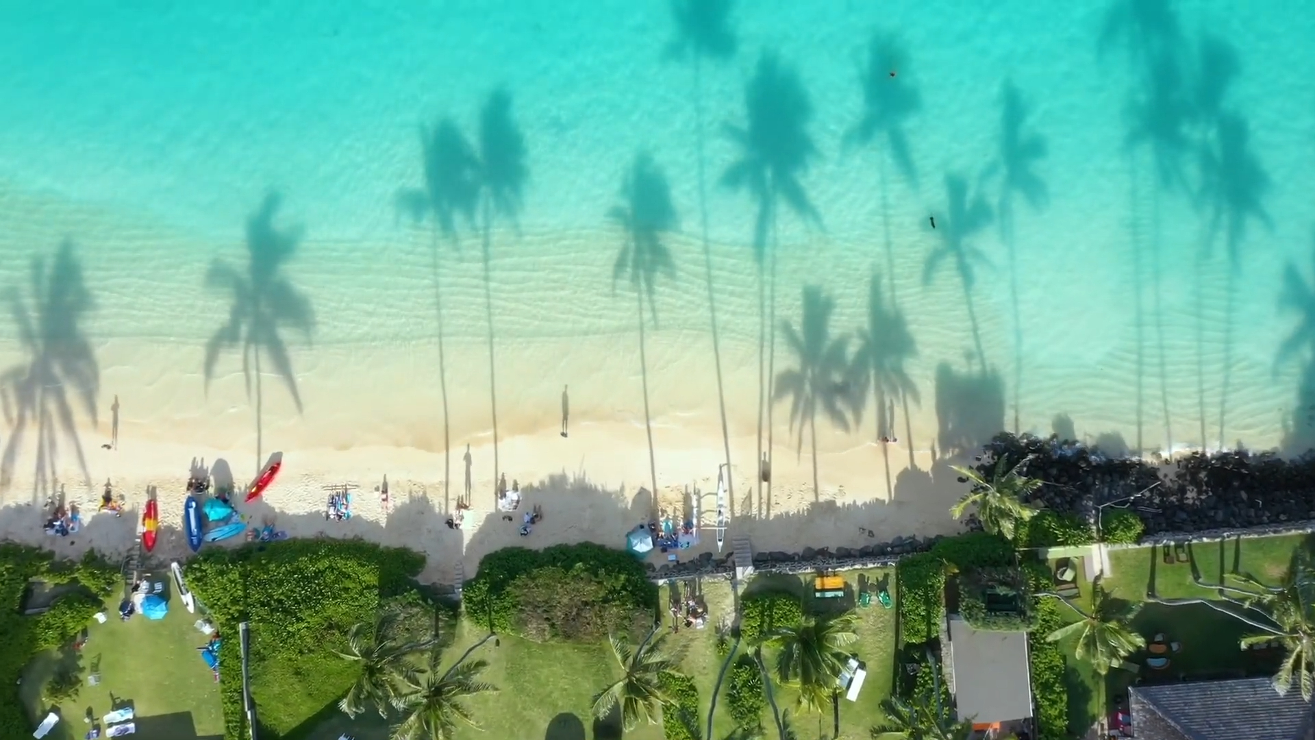 The Story of Hannah Witheridge and David Miller