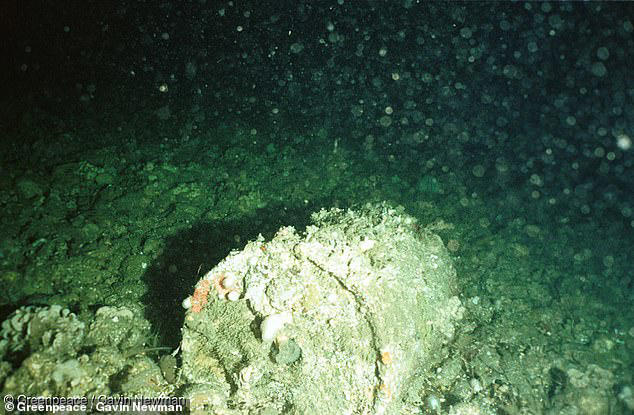 Radioactive time bomb lurks in Atlantic as 200,000 toxic barrels ...