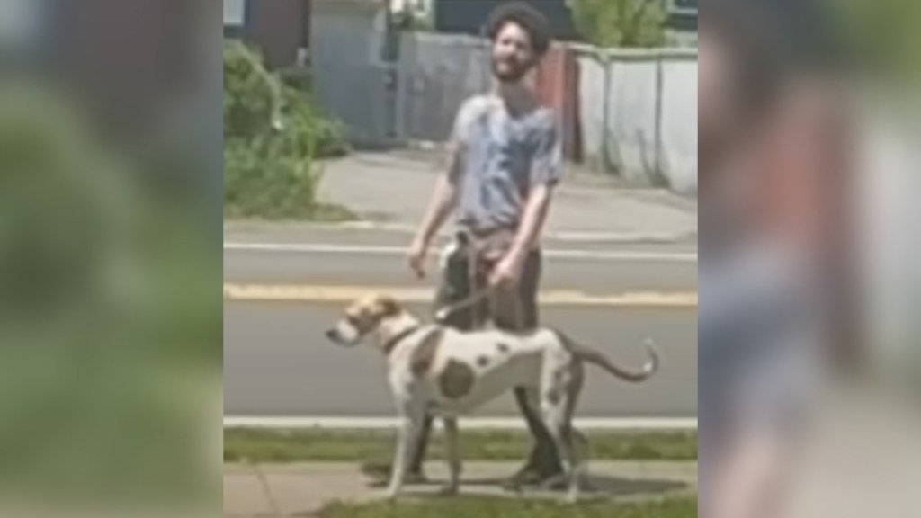 Husband Who Can't Have A Dog Gets His Fix Thanks To Neighbor's ...