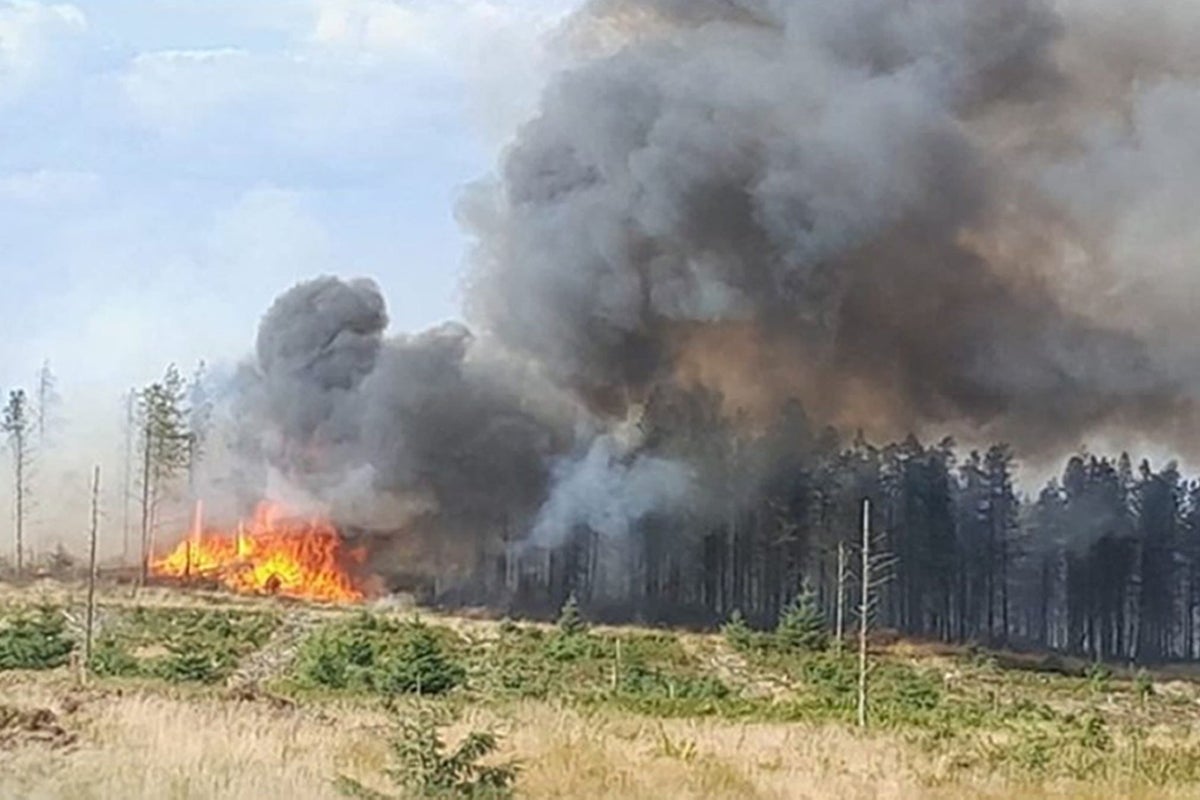 Wartime bombs explode as fire rips across Yorkshire moorland