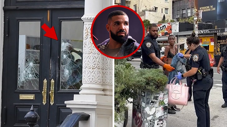 Woman Seen Smashing Up Drake's OVO Store in New York City, on Video