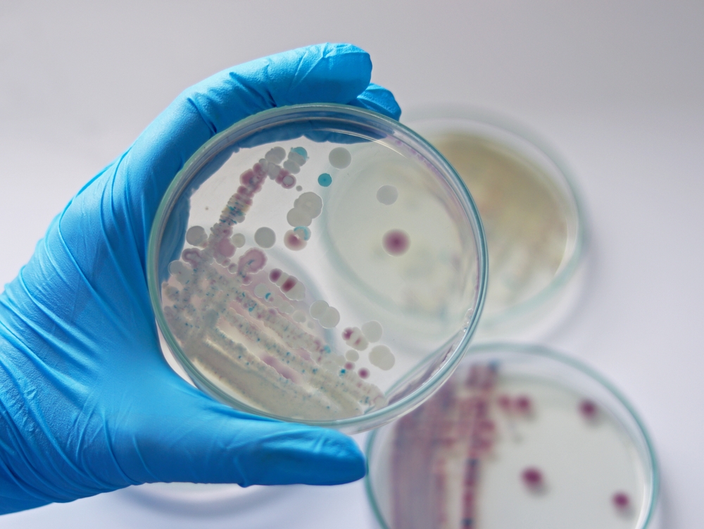 Cases of flesh-eating bacteria are on the rise. Here's why