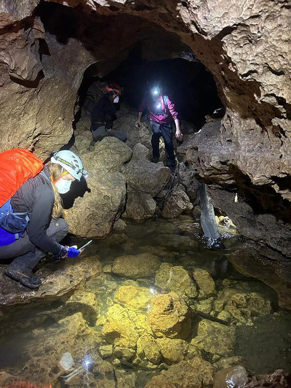 Así fue como estos peces se volvieron ciegos para vivir en la oscuridad