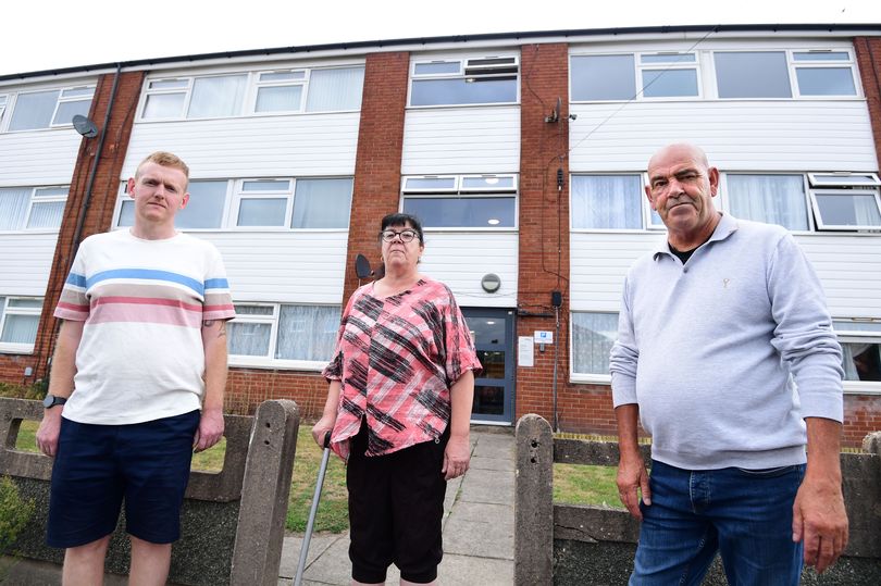 Woman sat 'looking at blank wall all day' after TV stops working