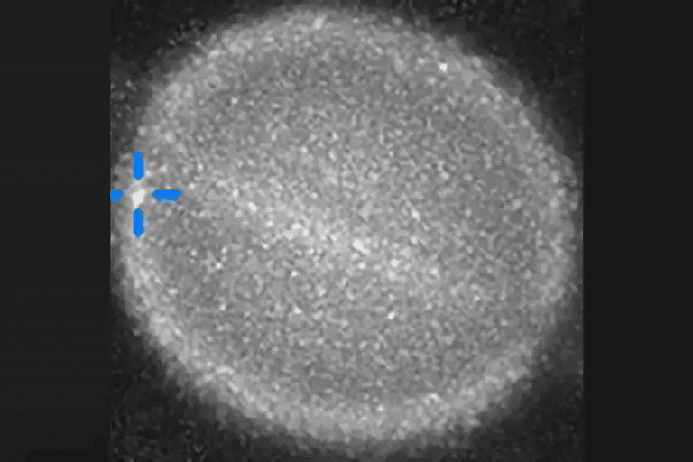 First-Ever Possible Impact on Saturn Captured by Citizen Astronomers
