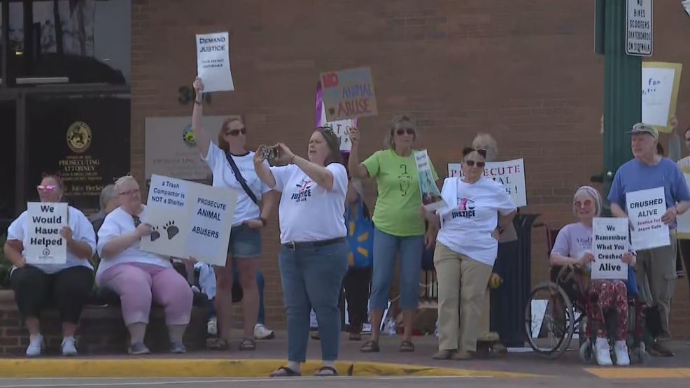 Group protests cat deaths in Elkhart County; Prosecutor says she can't ...