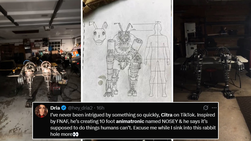 What Is The 'Nosey Project'? The Creepy Giant Robot Created By A TikTok ...