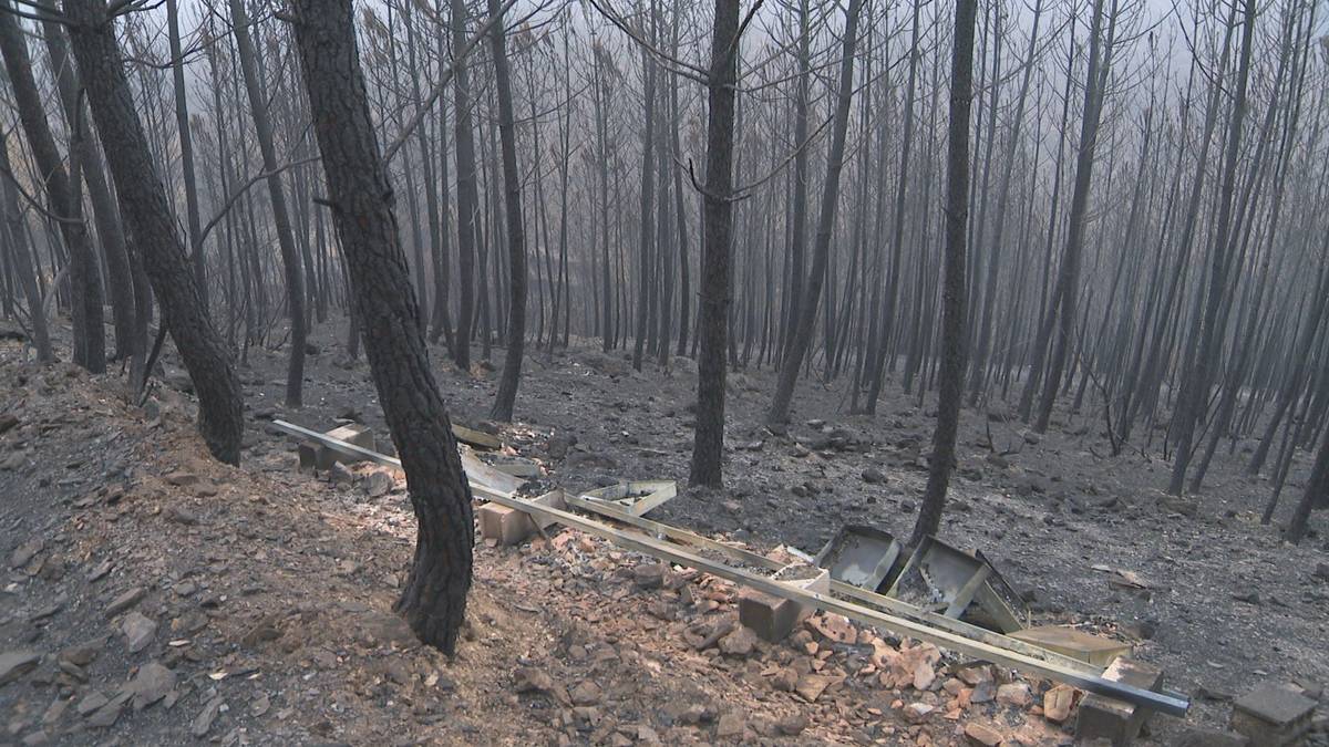 Fogo em Vieira do Minho dominado