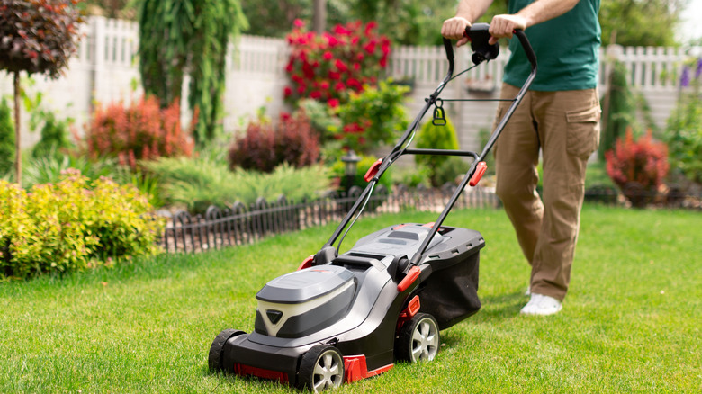 The HGTV-Approved Way To Mow Your Lawn That Prevents Weeds From Growing