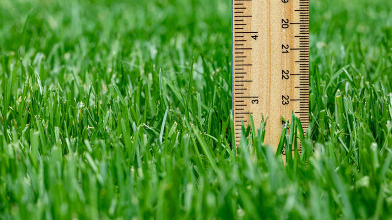 The HGTV-Approved Way To Mow Your Lawn That Prevents Weeds From Growing