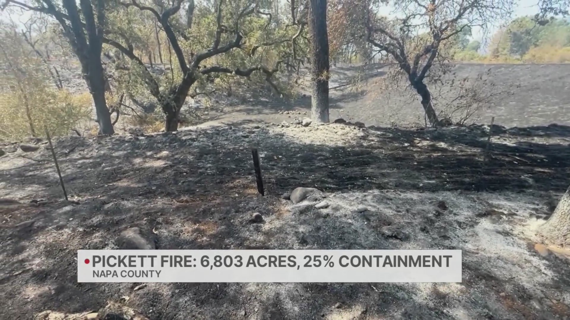 Pickett Fire: 6,803 acres, 25% containment