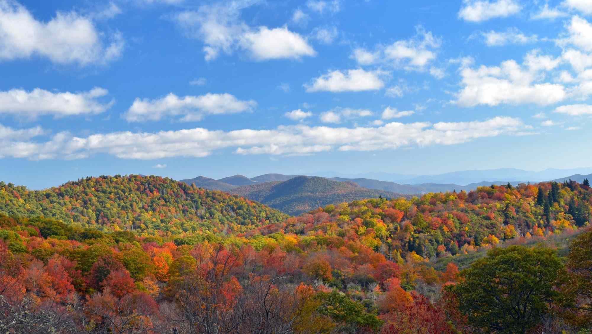 This Scenic City Was Just Officially Named The Most Affordable Fall ...