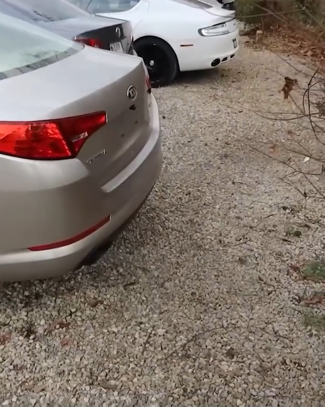 My Experience With Kia Cars!