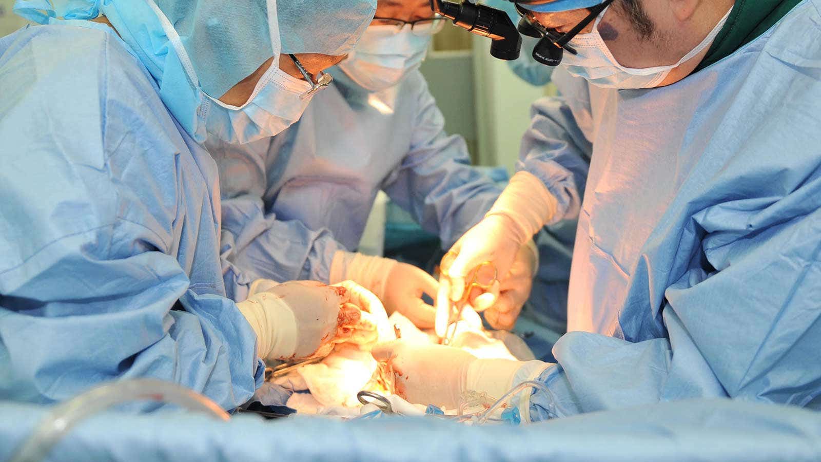 Partial Heart Transplant Shows Promise in Congenital Heart Disease