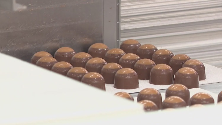 What should Ohio’s official candy be? ‘It’s gotta be the buckeye,’ one ...
