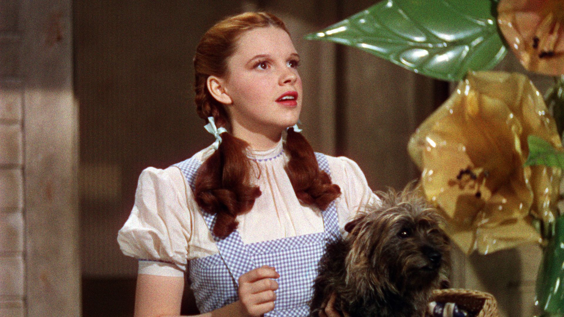 ‘Dorothy' Series In The Works At Prime Video