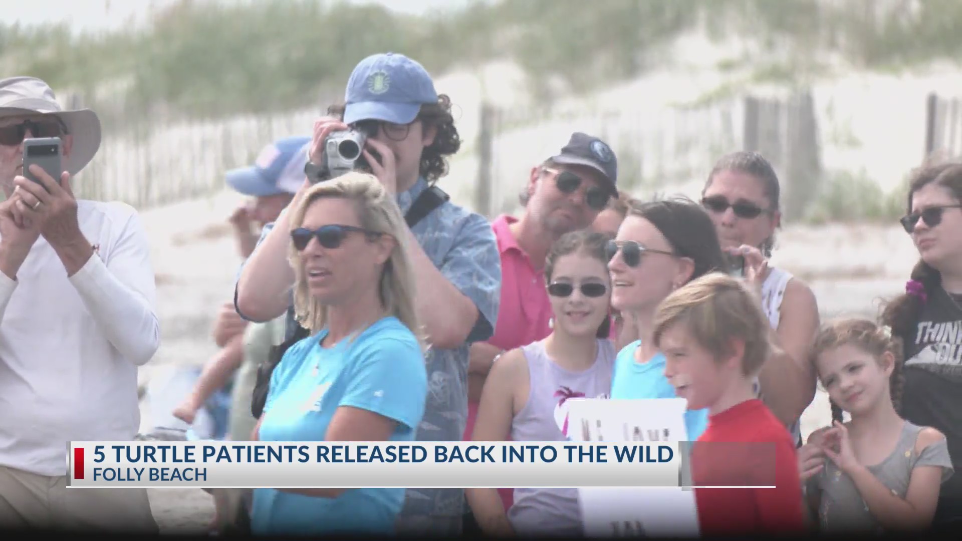 5 turtle patients released back into the wild