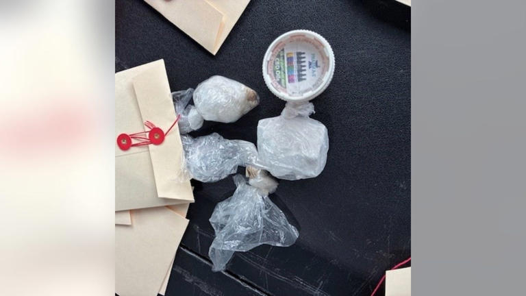 Detroit police drug bust on Mapleridge home leads to four arrests