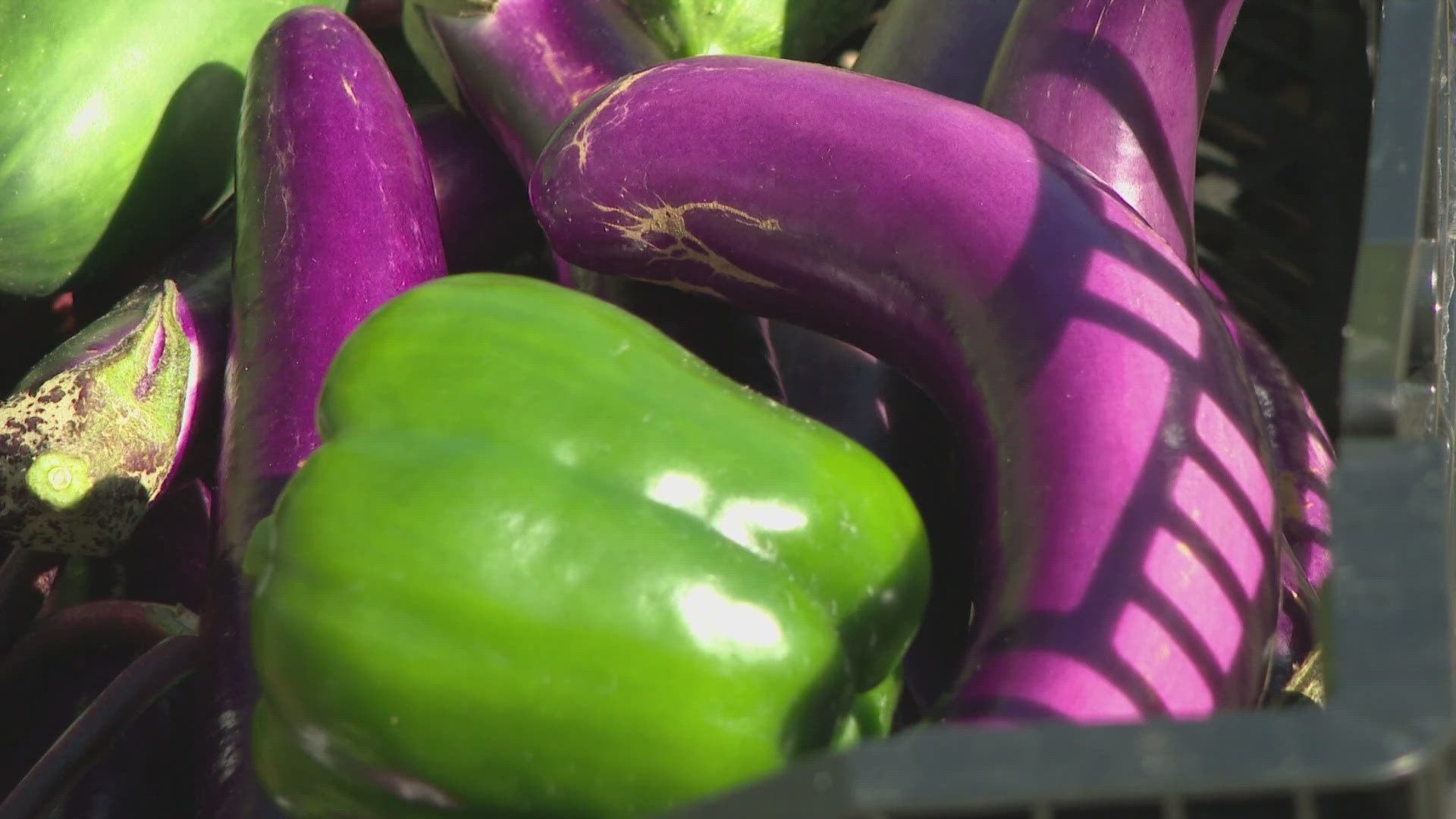 Fighting Buffalo's food insecurity problem