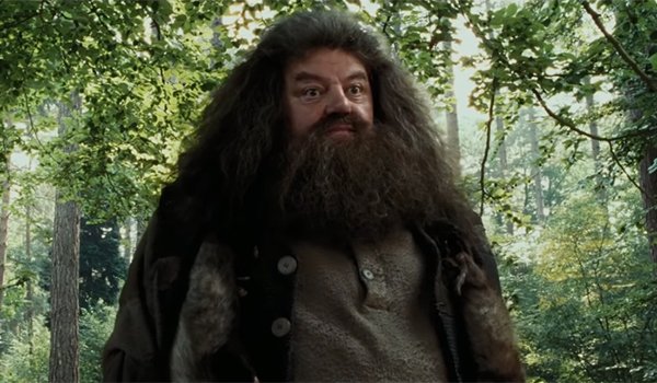 Harry Potter Director Got Critical After Taking One Look At Nick Frost ...