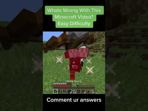 Whats Wrong With This Minecraft Video? #minecraft #puzzle #whatswrong # ...