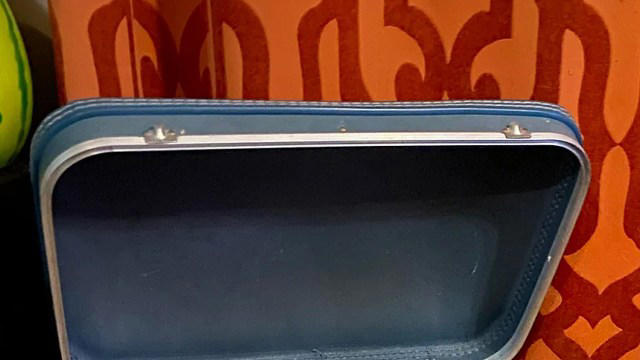 Cat owner shares genius hack using old suitcase: 'Very cool idea'